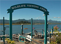 Wheeler on the Bay Lodge and Marina - Portland, Oregon | Bed and ...